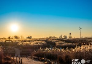 What are some famous sunrise spots in your country?