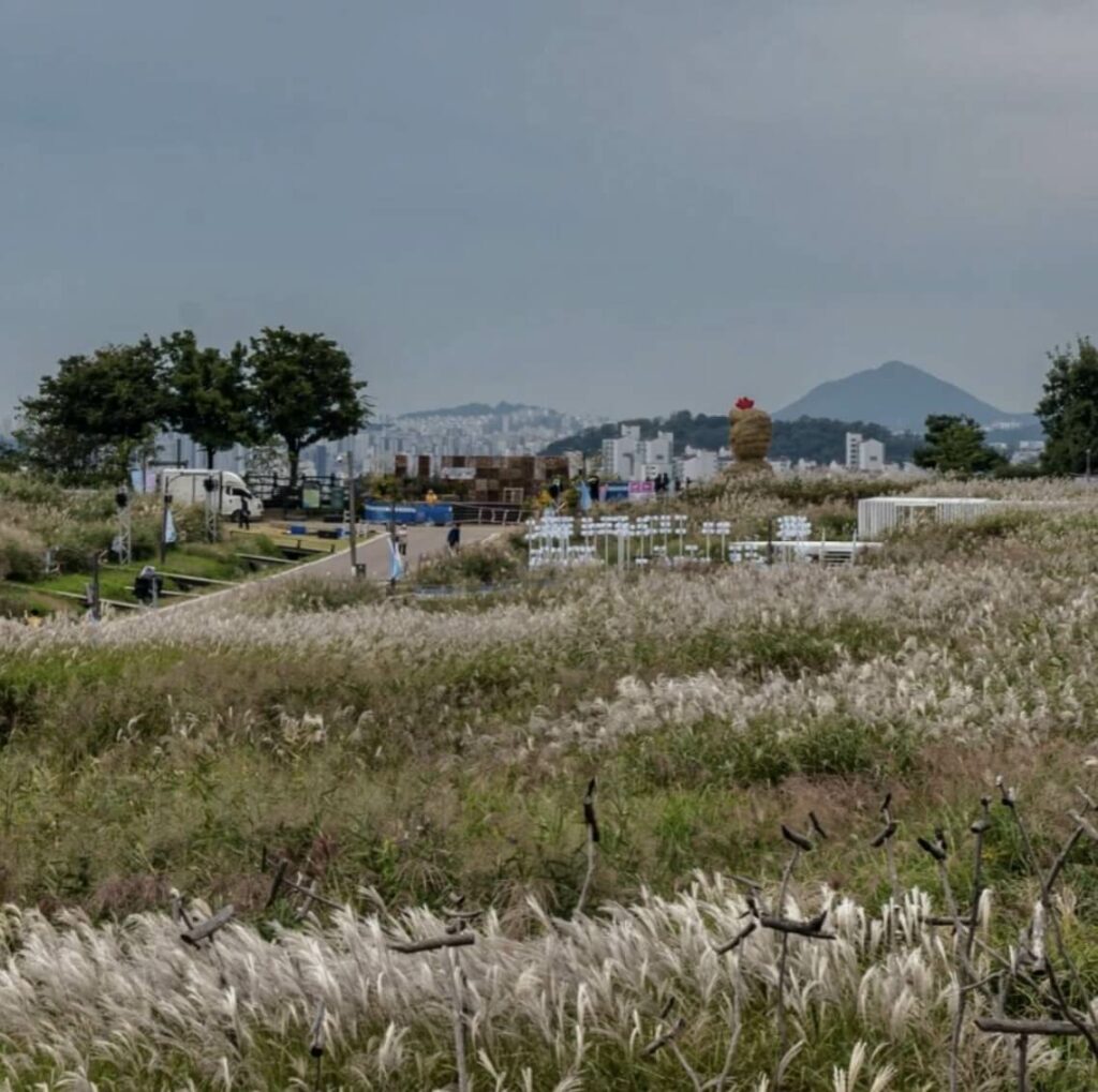 Traveling Seoul in October & November?