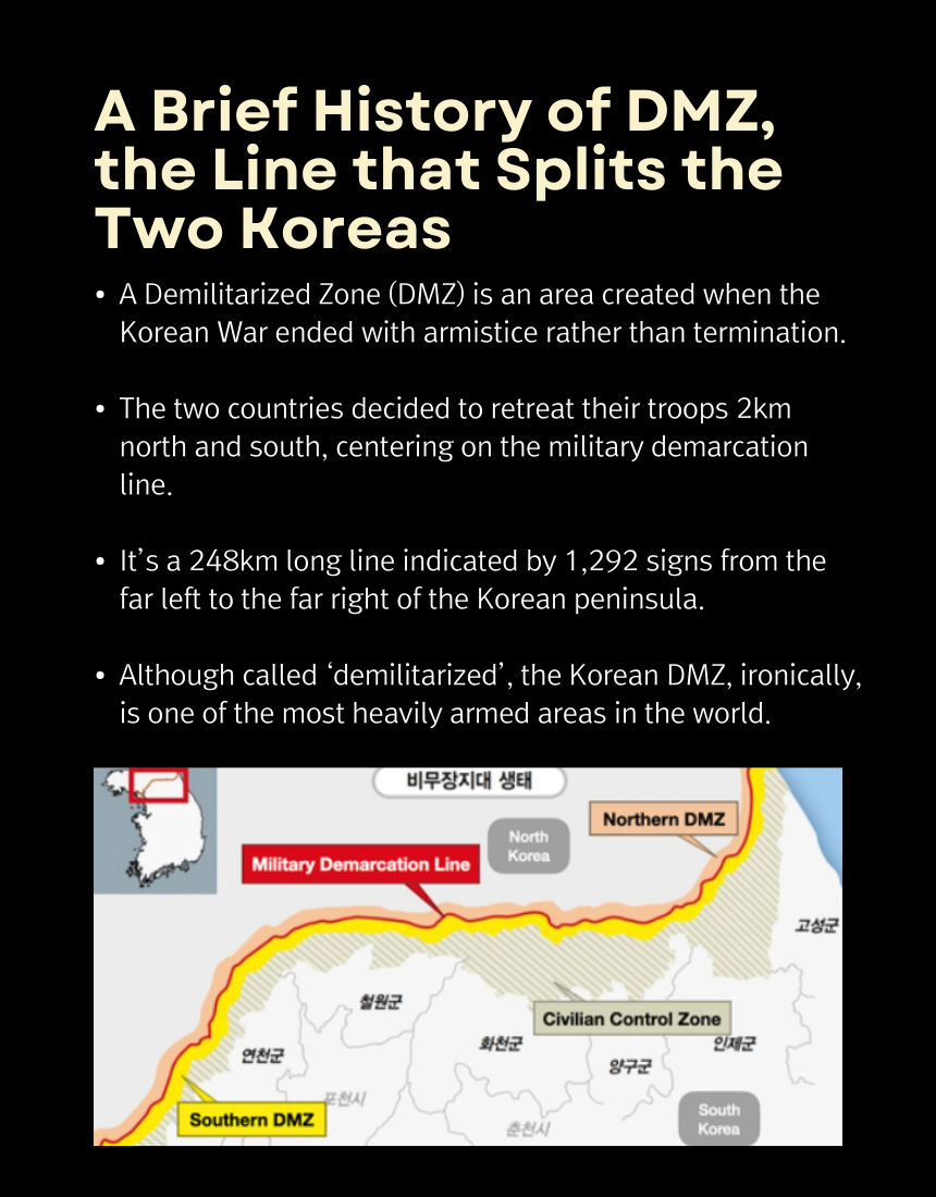 Enjoy this half-day tour