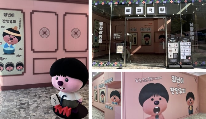 Leave a Reply Cancel reply