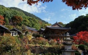 📍345 Buseoksa-ro, Buseok-myeon, Yeongju-si, Gyeongsangbuk-do